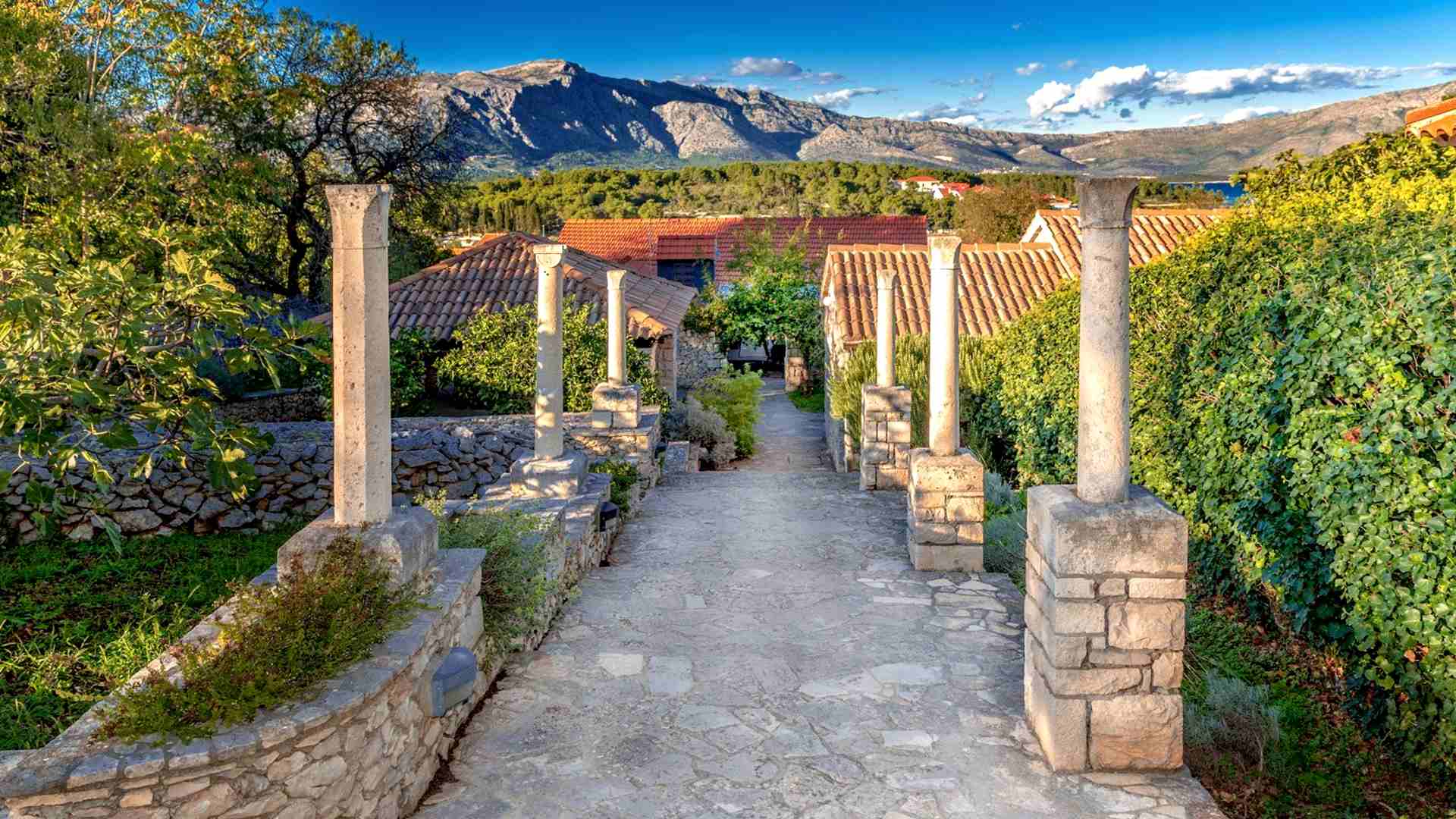 Top 8 Wineries in Dalmatia & Istria | Unforgettable Croatia